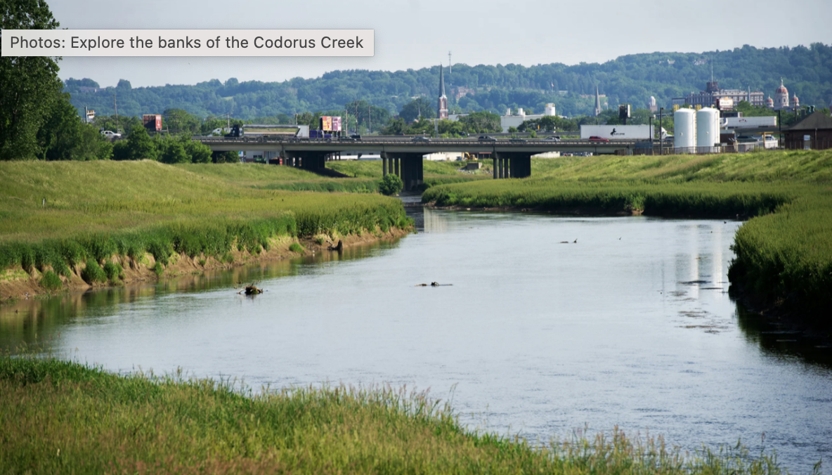 York College professor fishes for toxins in Codorus Creek - Witnessing York